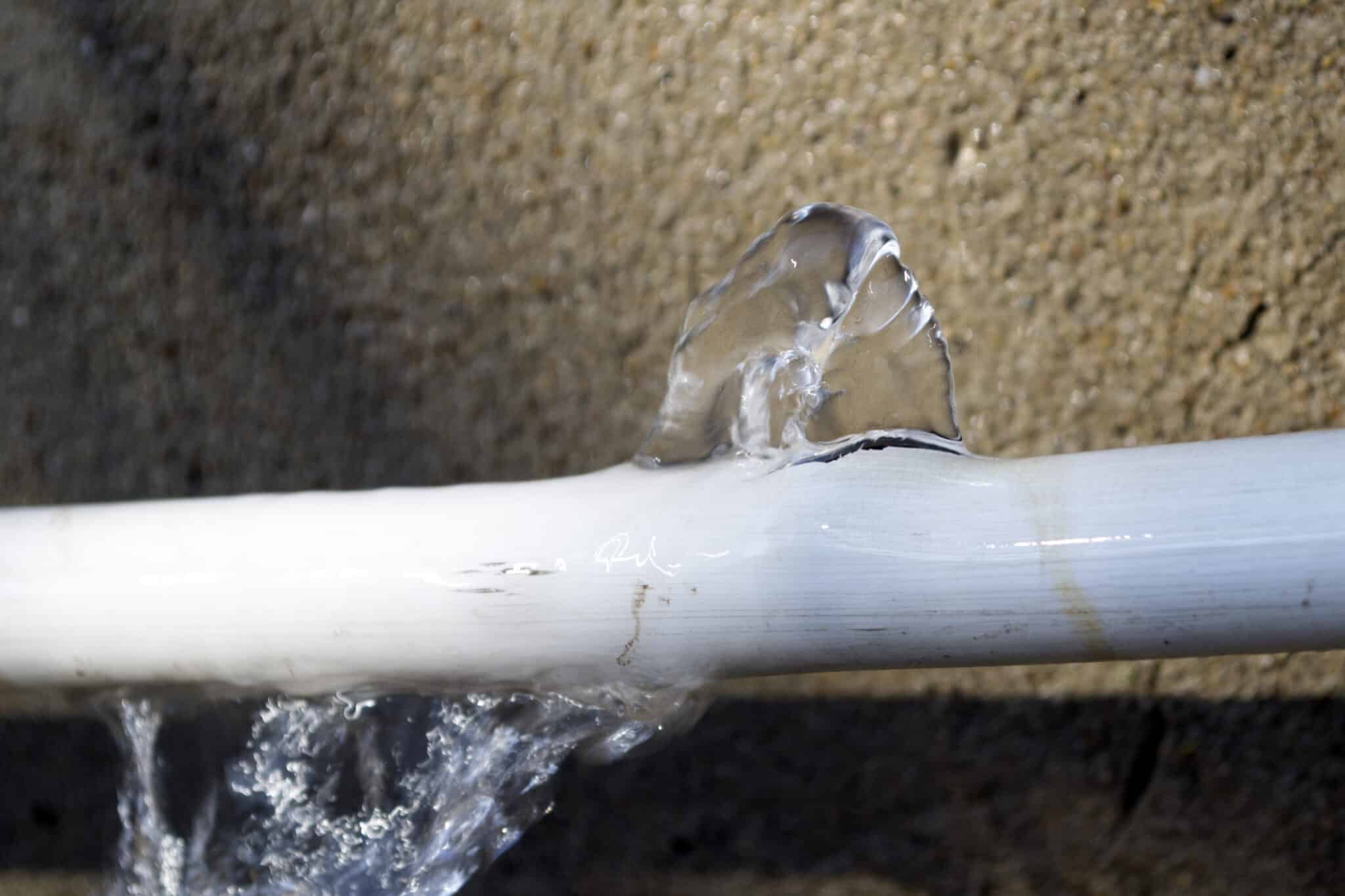 Dry It Right: Professional Water Mitigation Saves You Thousands